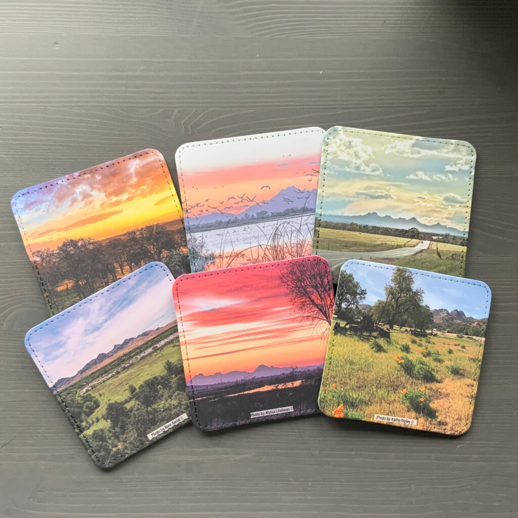 Dye-Sublimation Products